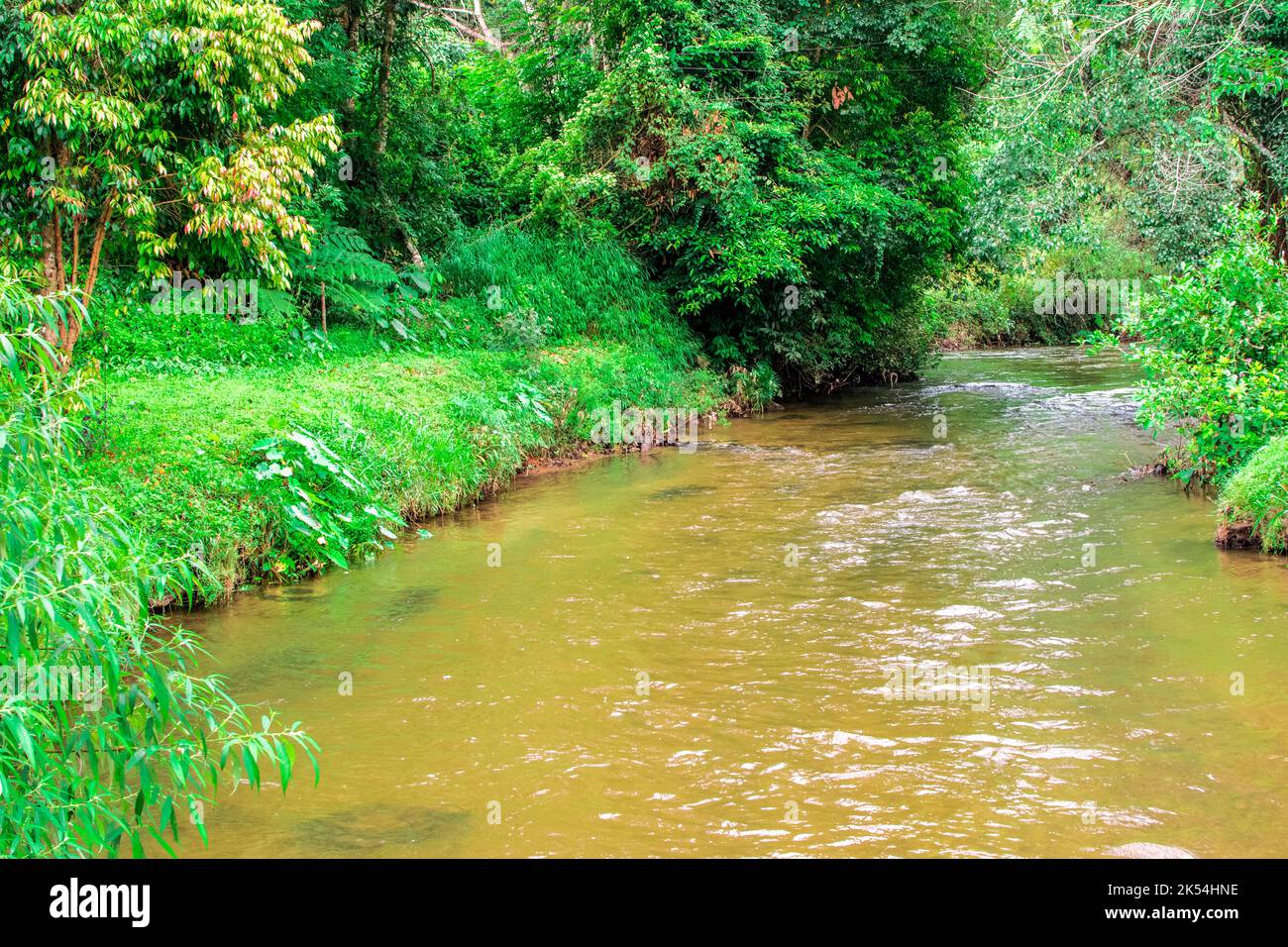 River in the forest water source Look fresh. Fresh water Stock Photo ...