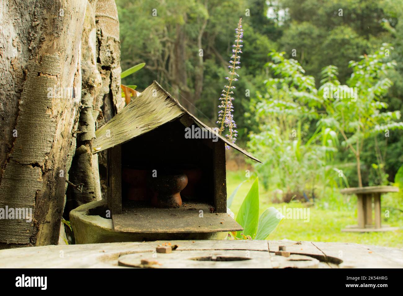 The spirit house is located in the middle of the forest. With nature ...