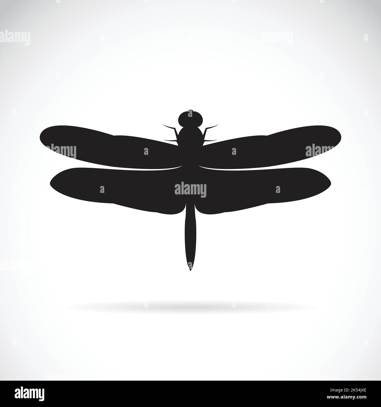 Vector Of Dragonfly Design On White Background Easy Editable Layered Vector Illustration Wild
