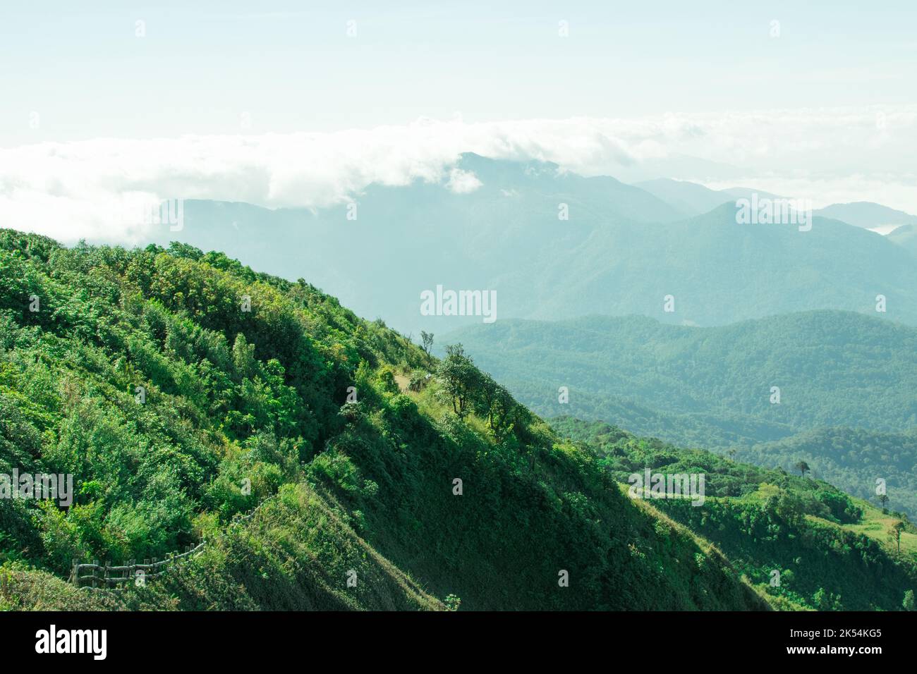 Mountain view, forest, beautiful sky, landscape Stock Photo - Alamy