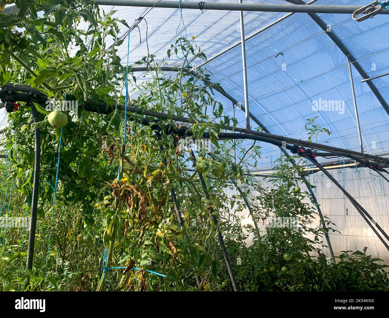 Conscientized agriculture hi-res stock photography and images - Alamy