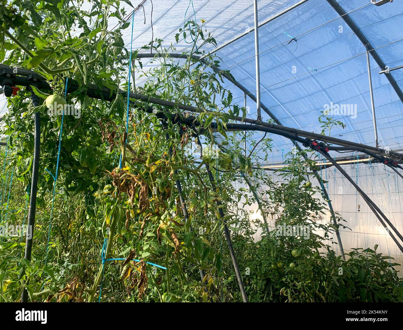 Conscientized agriculture hi-res stock photography and images - Alamy