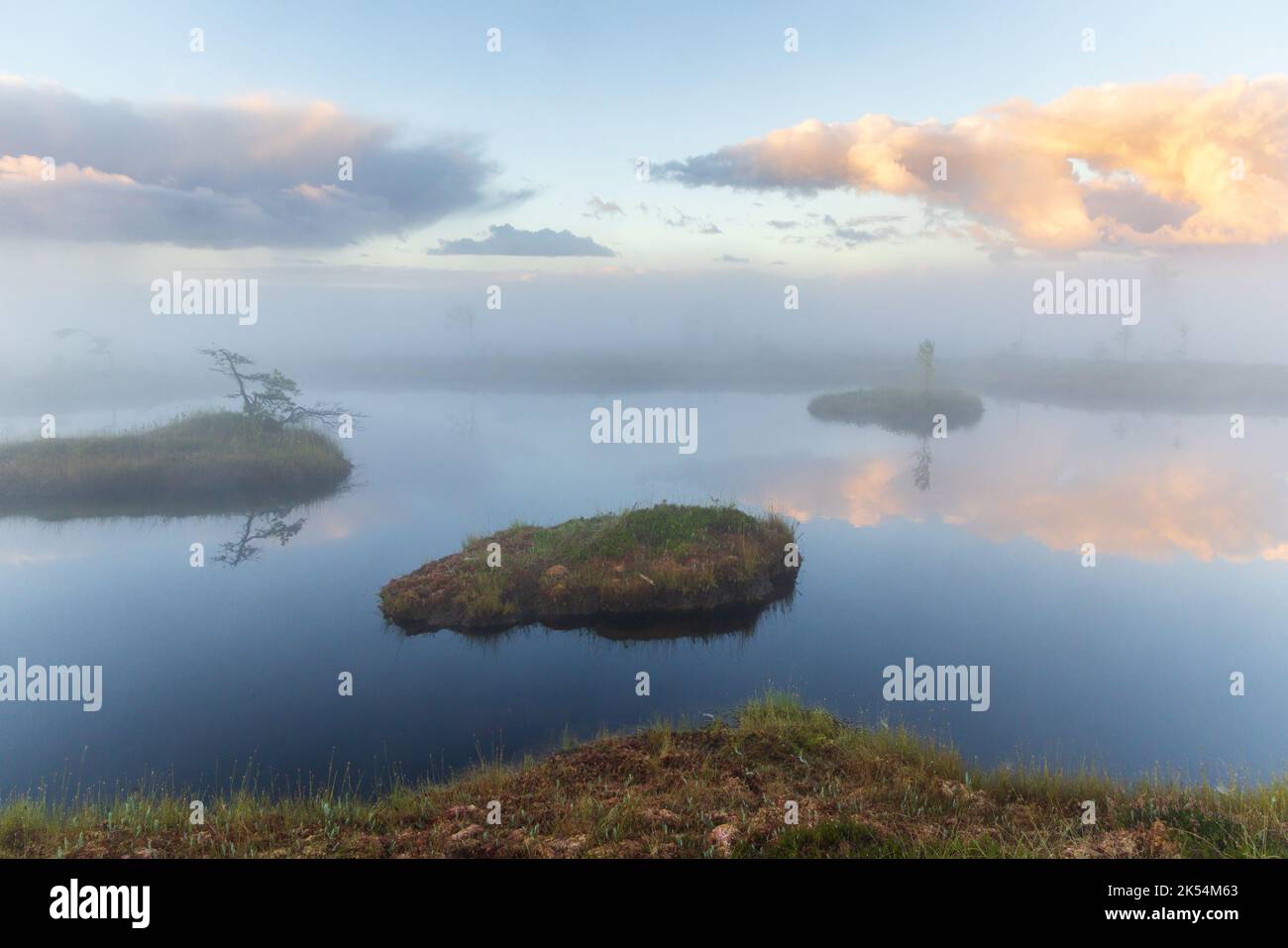 Bog lake with islands and reflections with the fog clad dawn colored ...