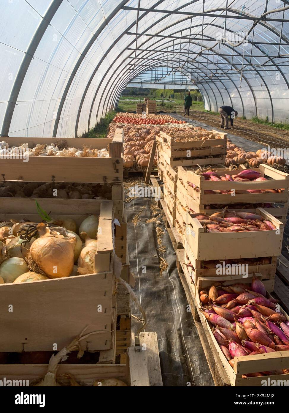 Conscientized agriculture hi-res stock photography and images - Alamy