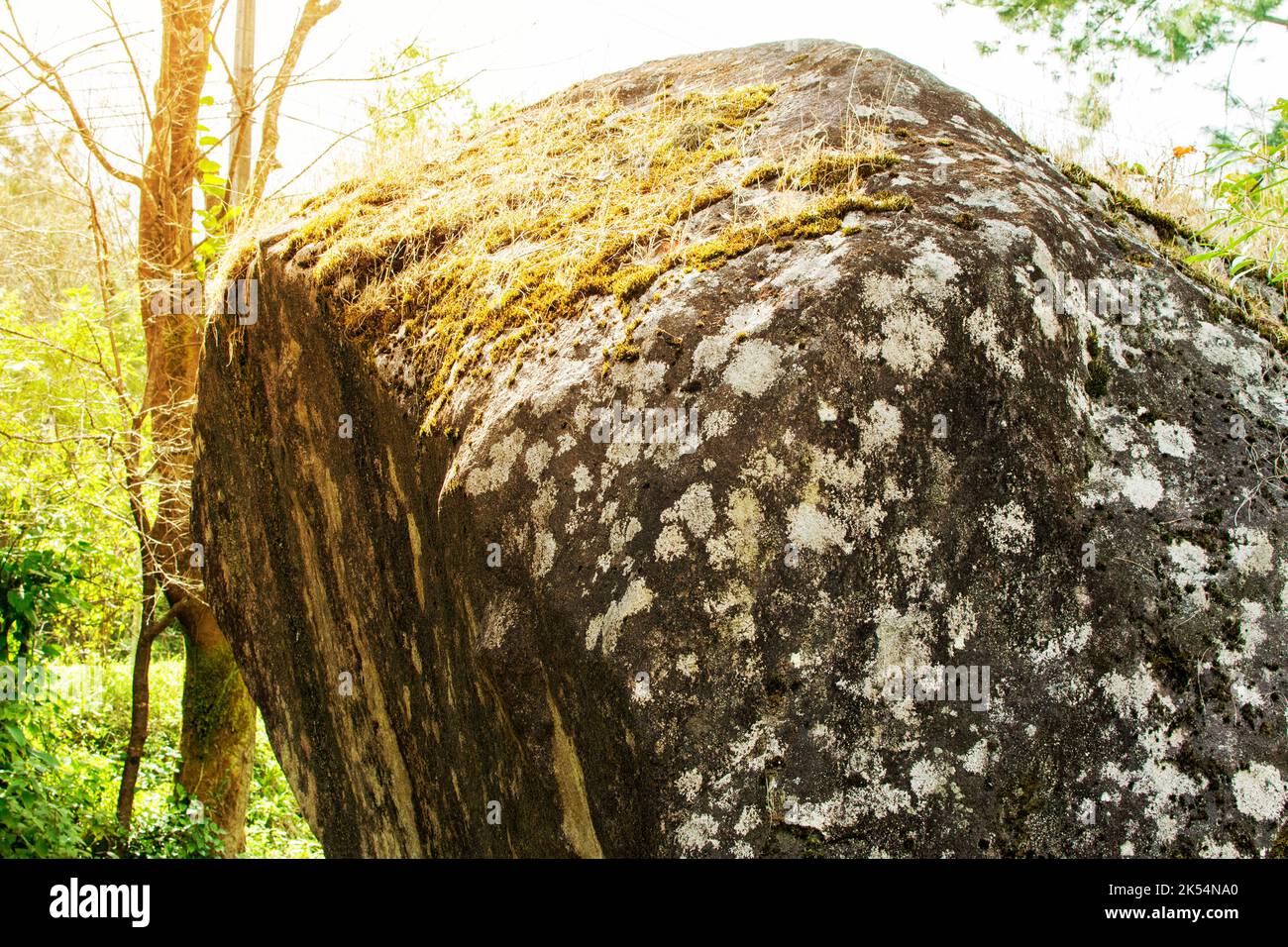 Moss-covered stone. Beautiful moss and lichen covered stone. Bright ...