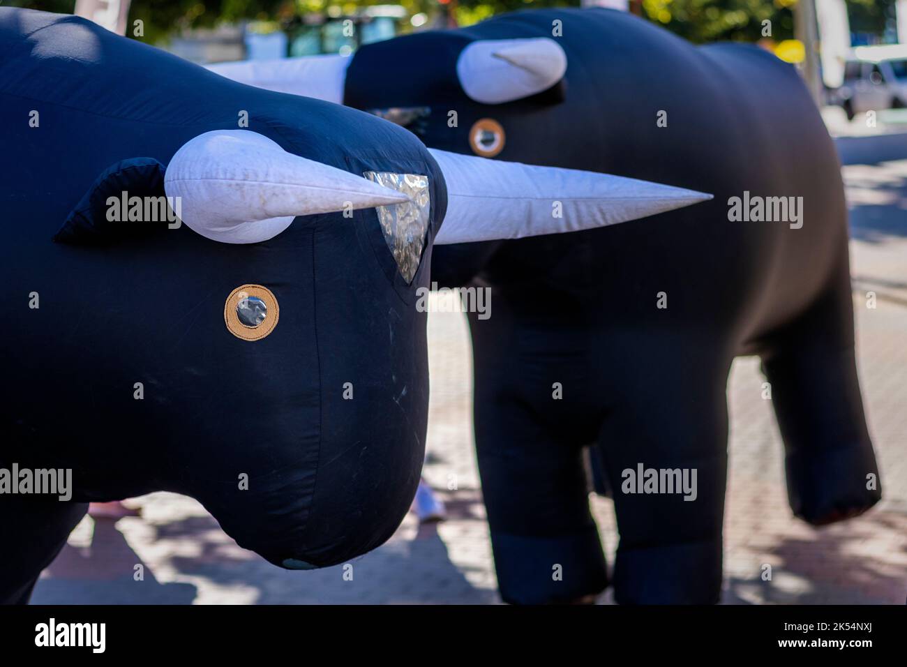 Bull cartoon vector hi-res stock photography and images - Alamy