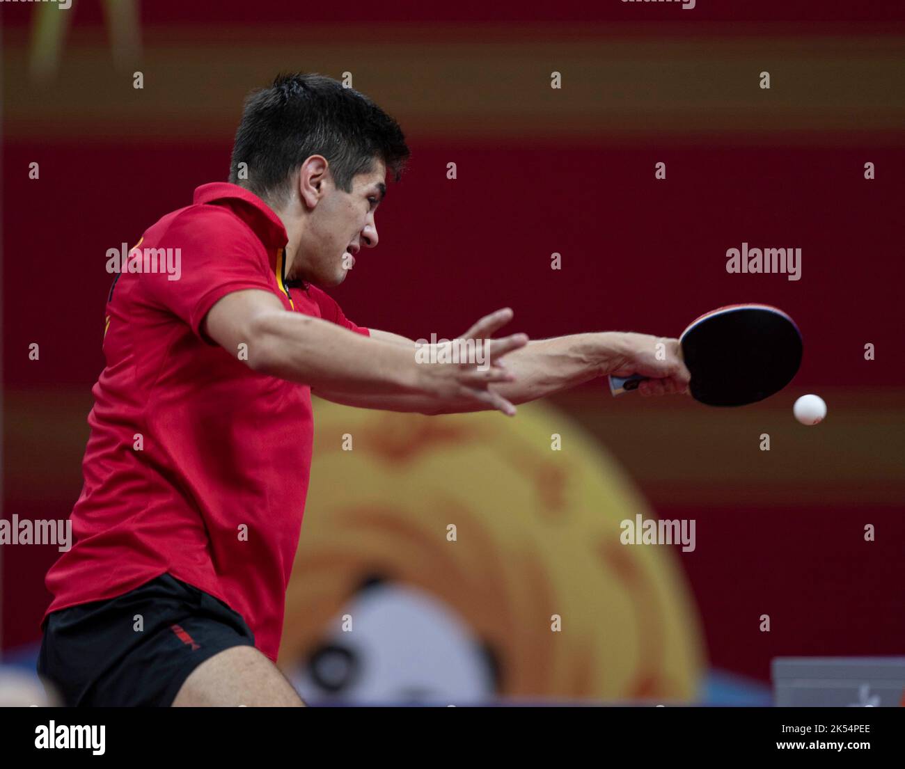 Moregard hi-res stock photography and images - Alamy