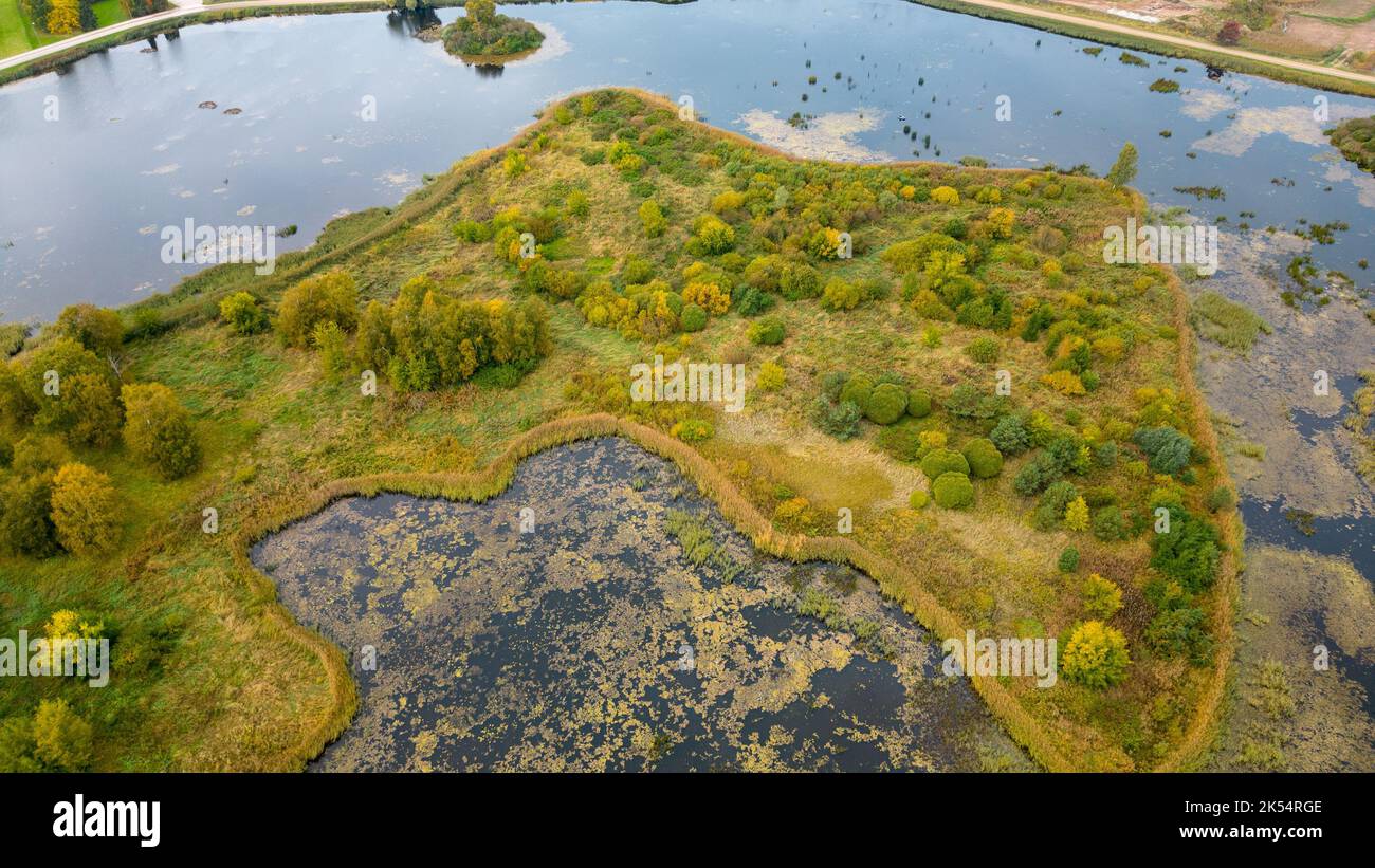 An aerial view of the green shore of a lake with trees Stock Photo - Alamy
