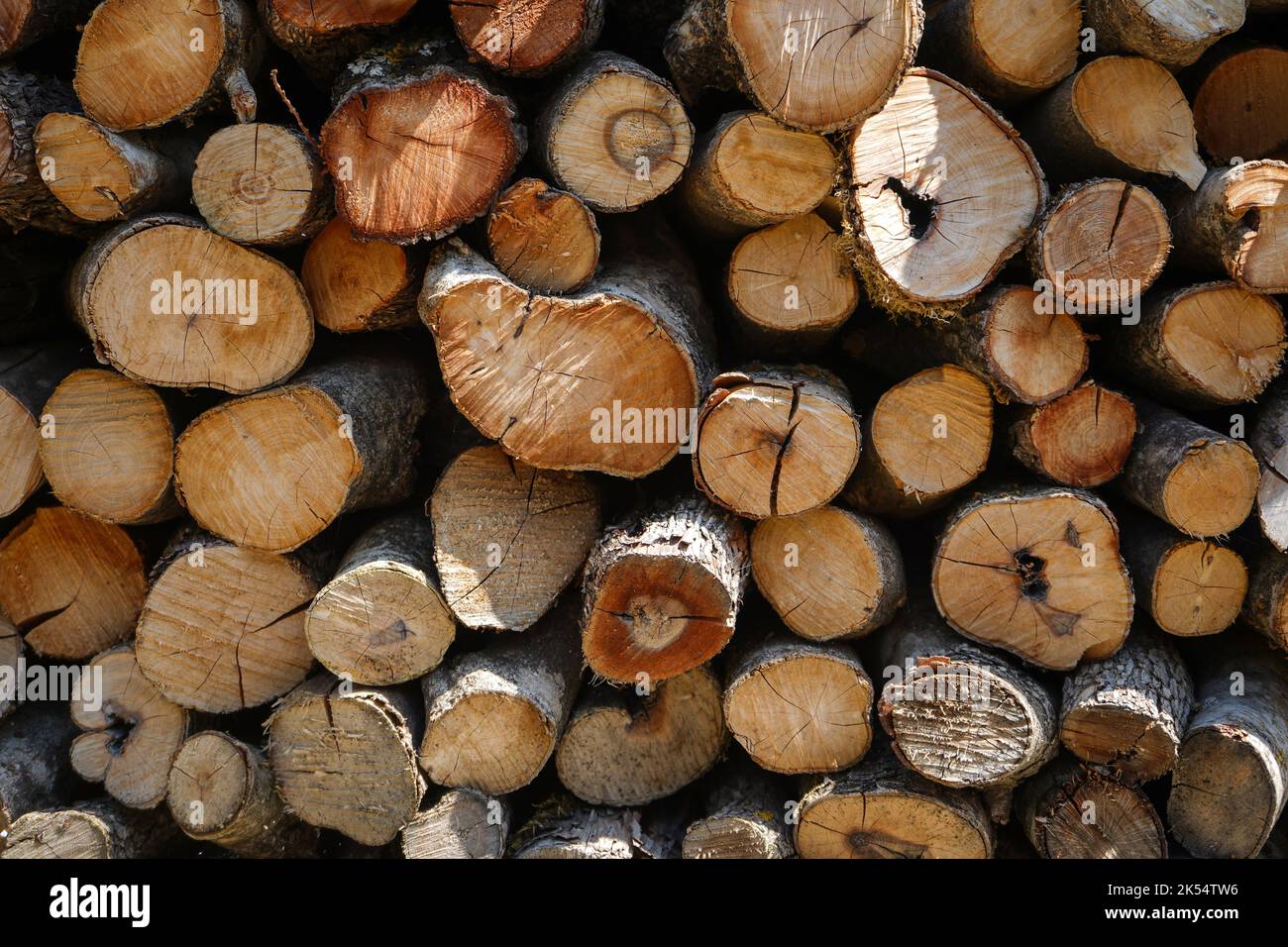 Wood lot stacked logs hi-res stock photography and images - Alamy