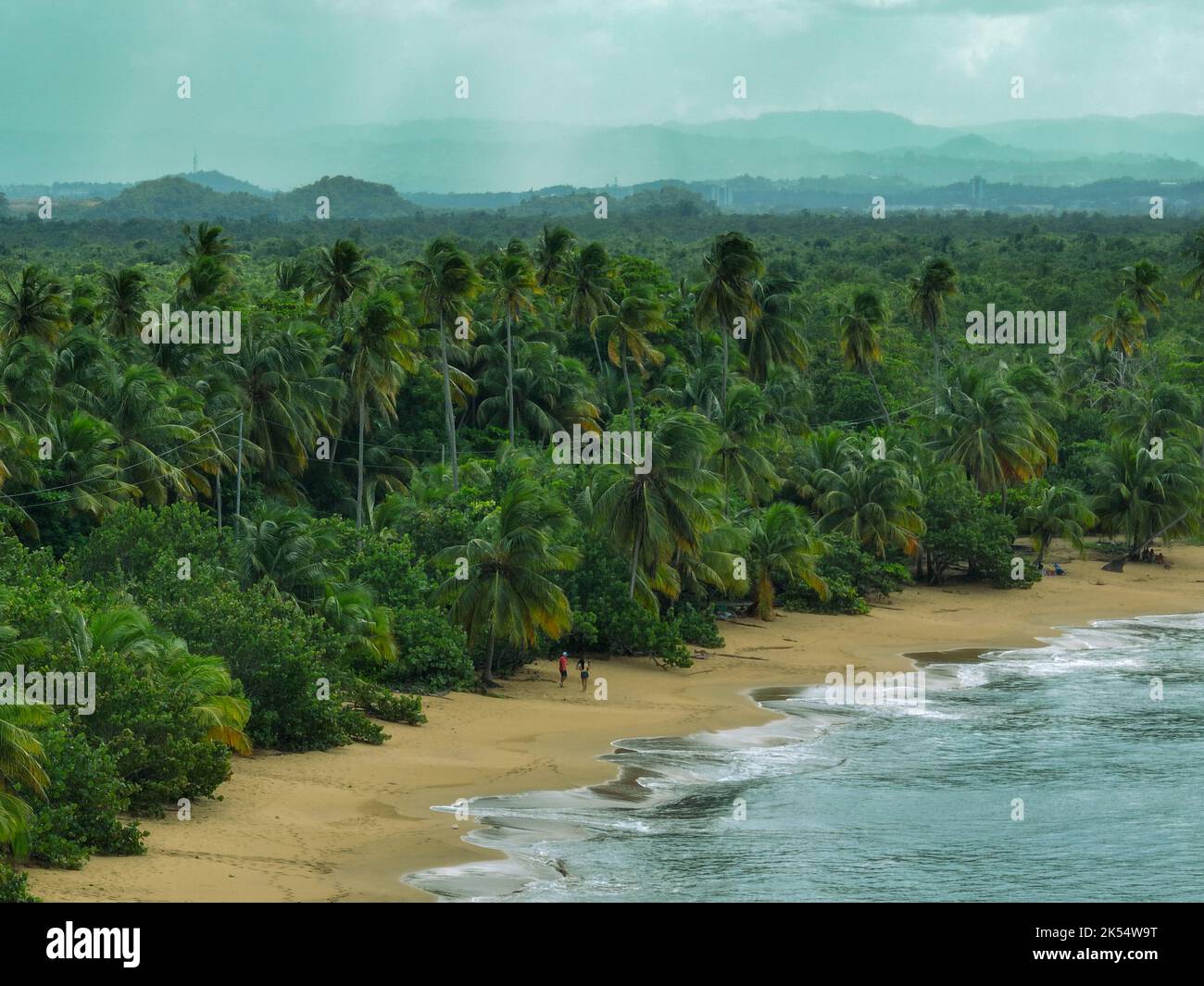 Puerto rico environment hi-res stock photography and images - Alamy