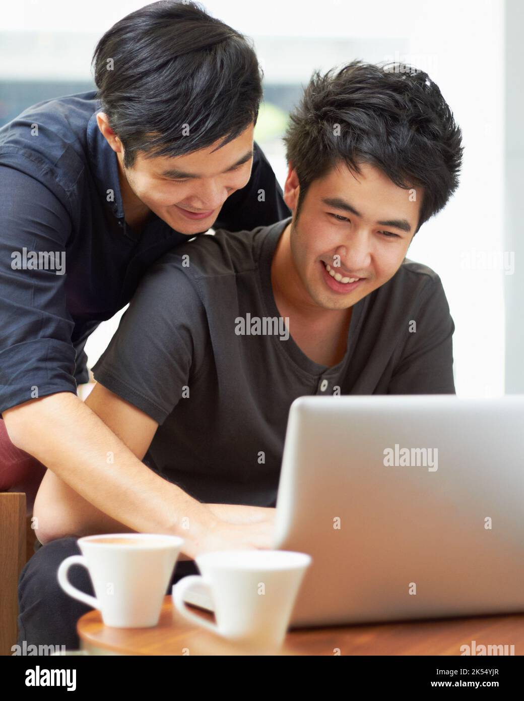 That one looks perfect. a young gay couple using a laptop indoors Stock ...