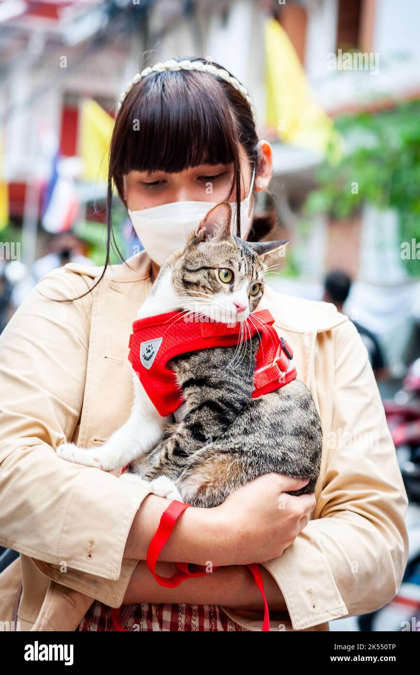 A young Thai lady holds her beautiful cat wearing a little red jacket ...