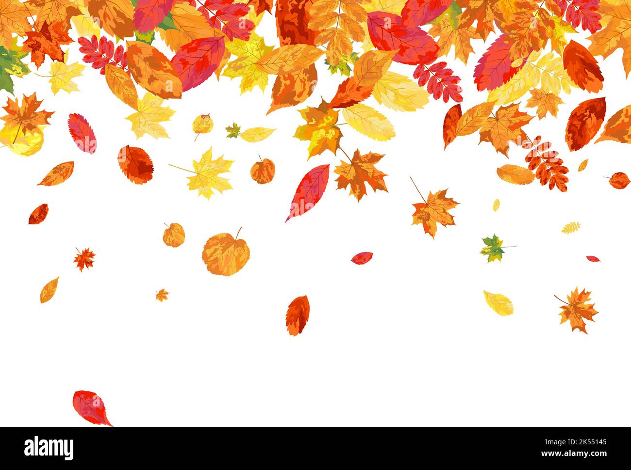 Autumn Frame With Blowing Leaves Over White Background. Elegant Design ...
