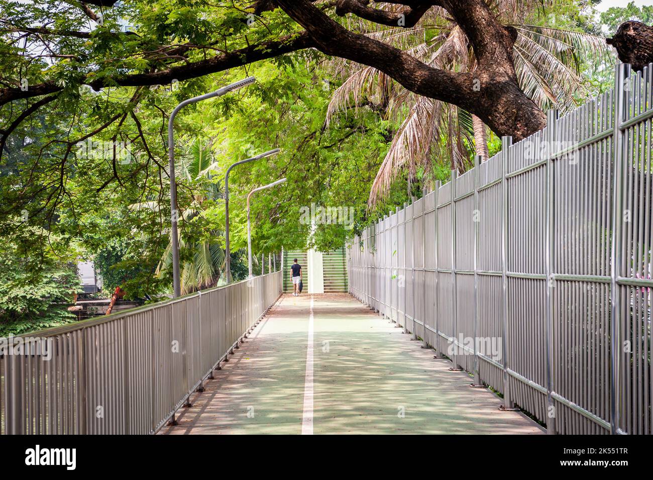 Bangkok inner city park hi-res stock photography and images - Alamy