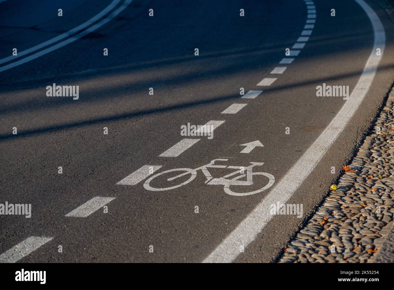 Asphalt road with bike lane stripes Stock Photo - Alamy