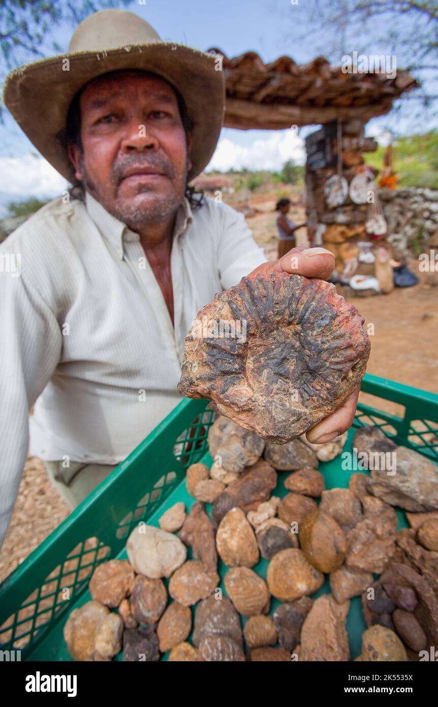 100 years of colombia hi-res stock photography and images - Alamy