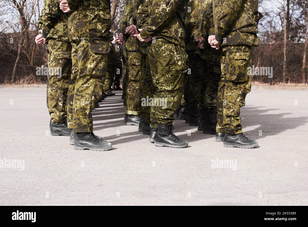 Standing at attention. A group of soldiers standing at attention Stock ...