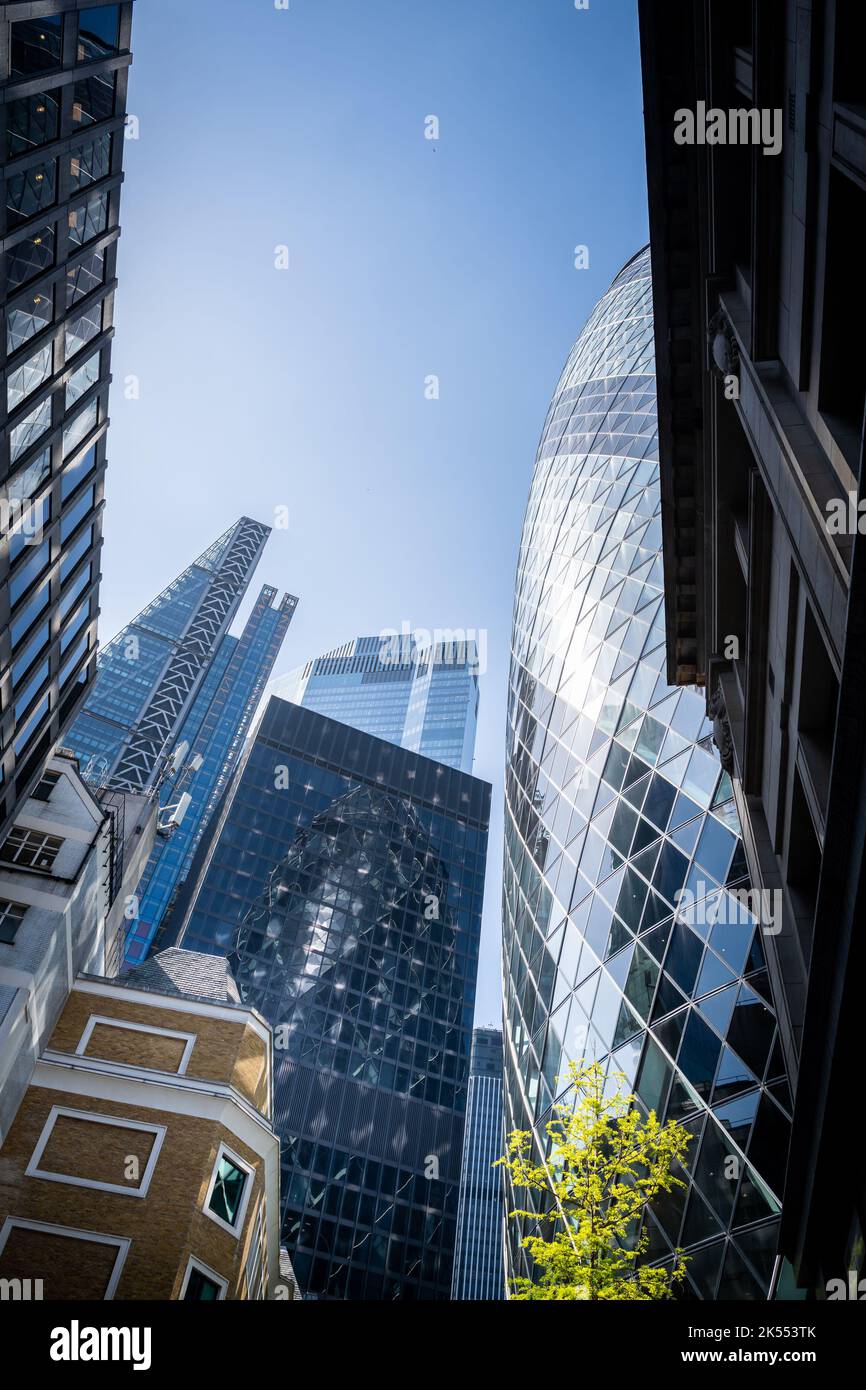 The Gherkin Building amongst a variety of other architecture. Located ...