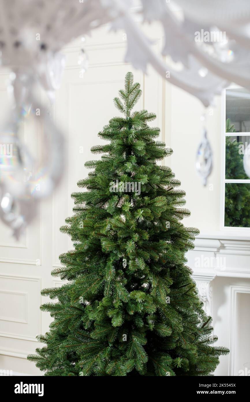 Close-up Christmas tree without toys. Good New Year spirit. Green ...