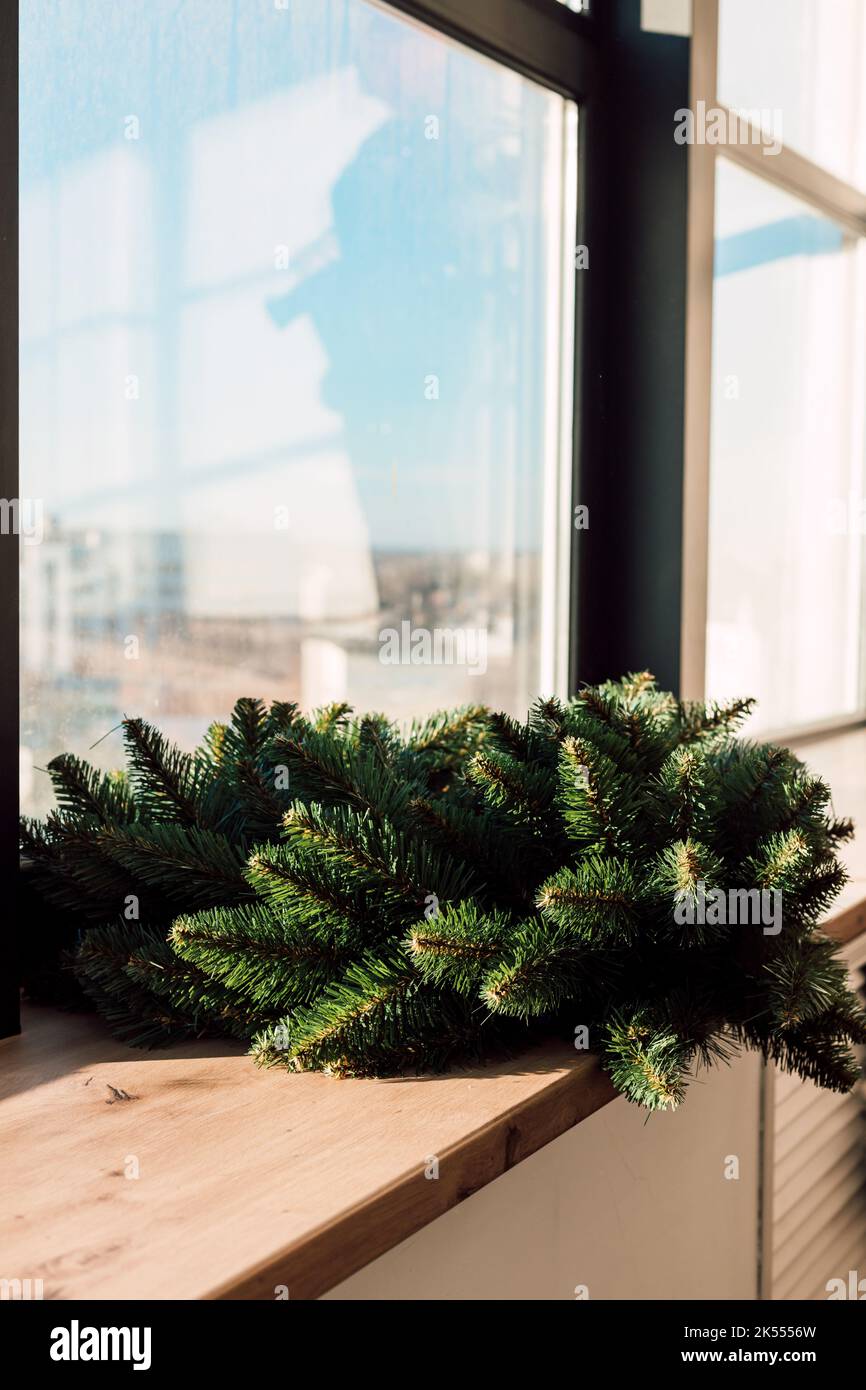 Branches of a green Christmas tree lie on a large beautiful window ...