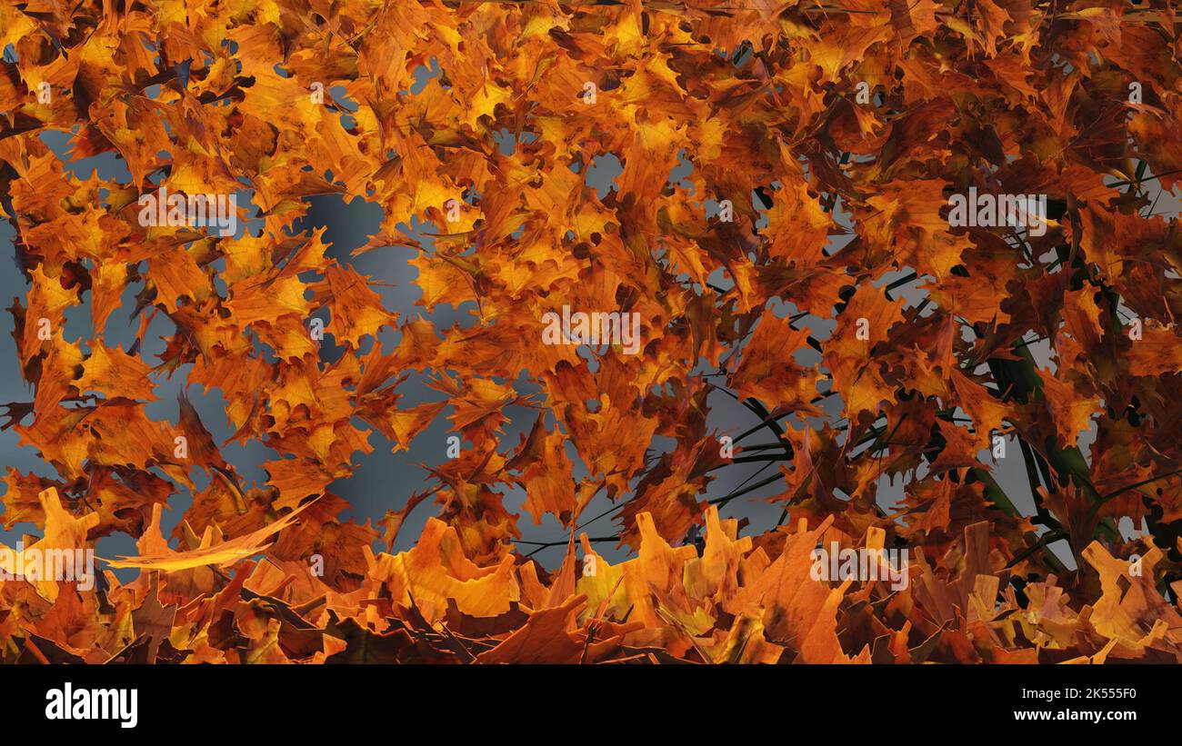 Autumn background with falling leaves Stock Photo - Alamy