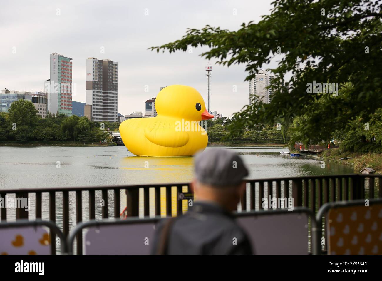 Seoul, South Korea. 6th Oct, 2022. A man watches the Rubber Duck ...