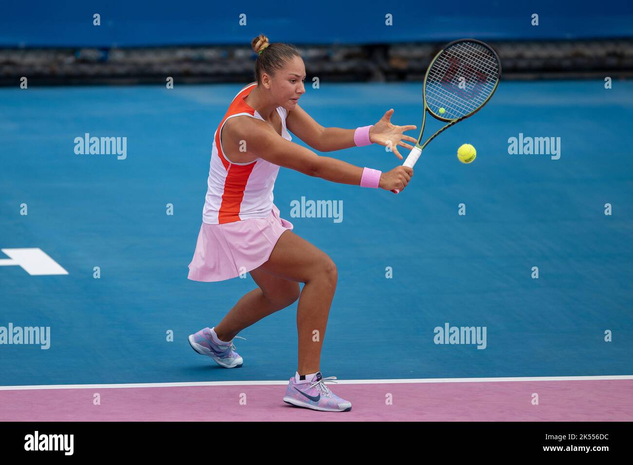 Anchisa chanta hi-res stock photography and images - Alamy