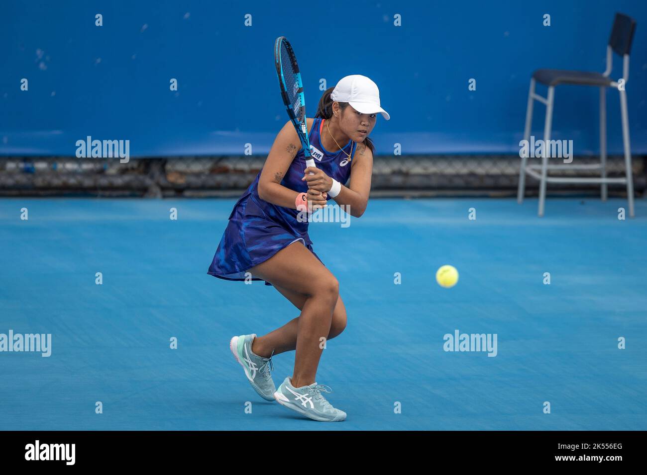 Anchisa chanta hi-res stock photography and images - Alamy
