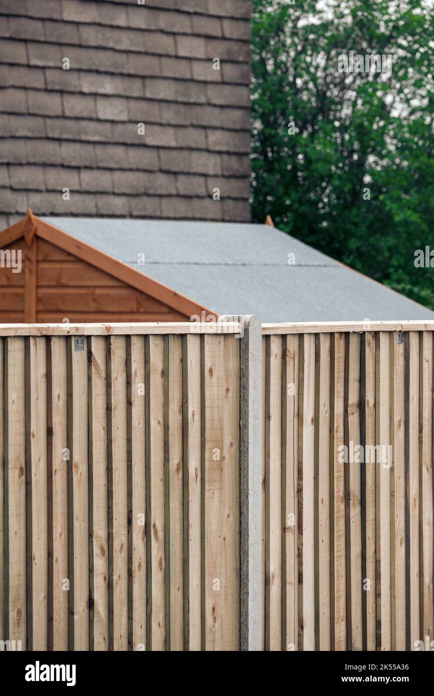 A garden shed hidden by a large fence on an urban housing estate Stock ...