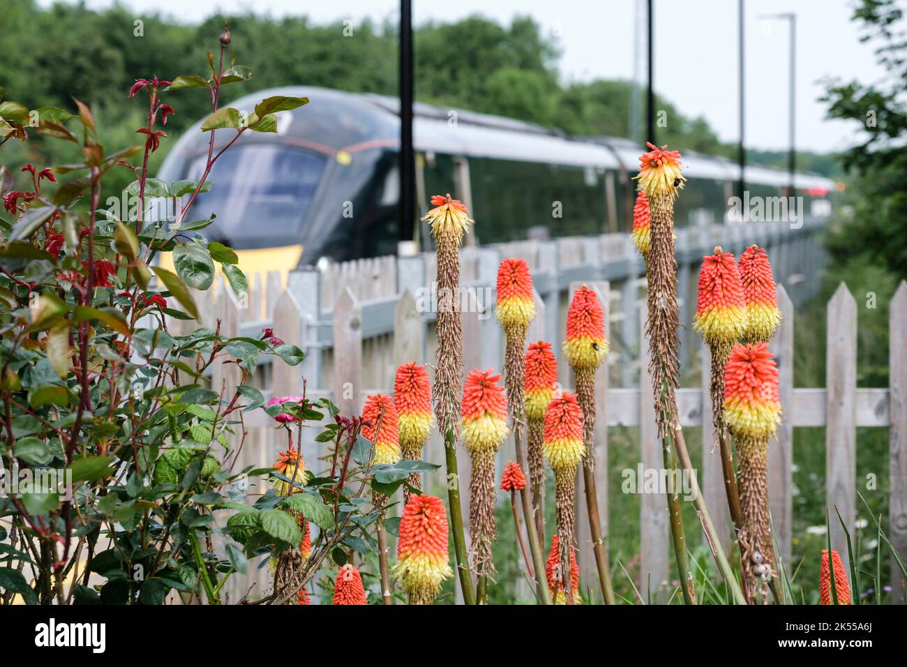 A train pulls into a rural station that has been planted with flowers ...