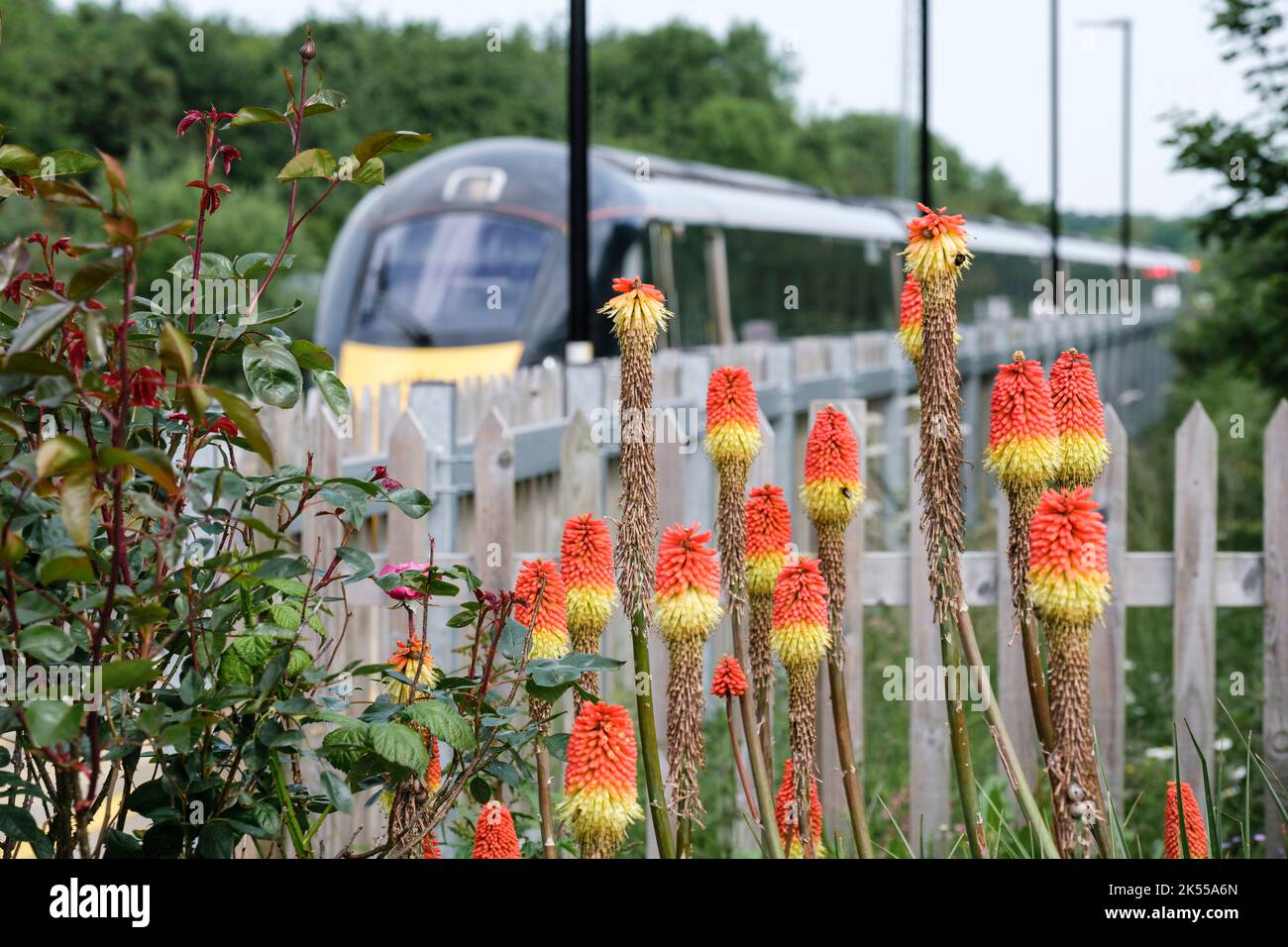 A train pulls into a rural station that has been planted with flowers ...