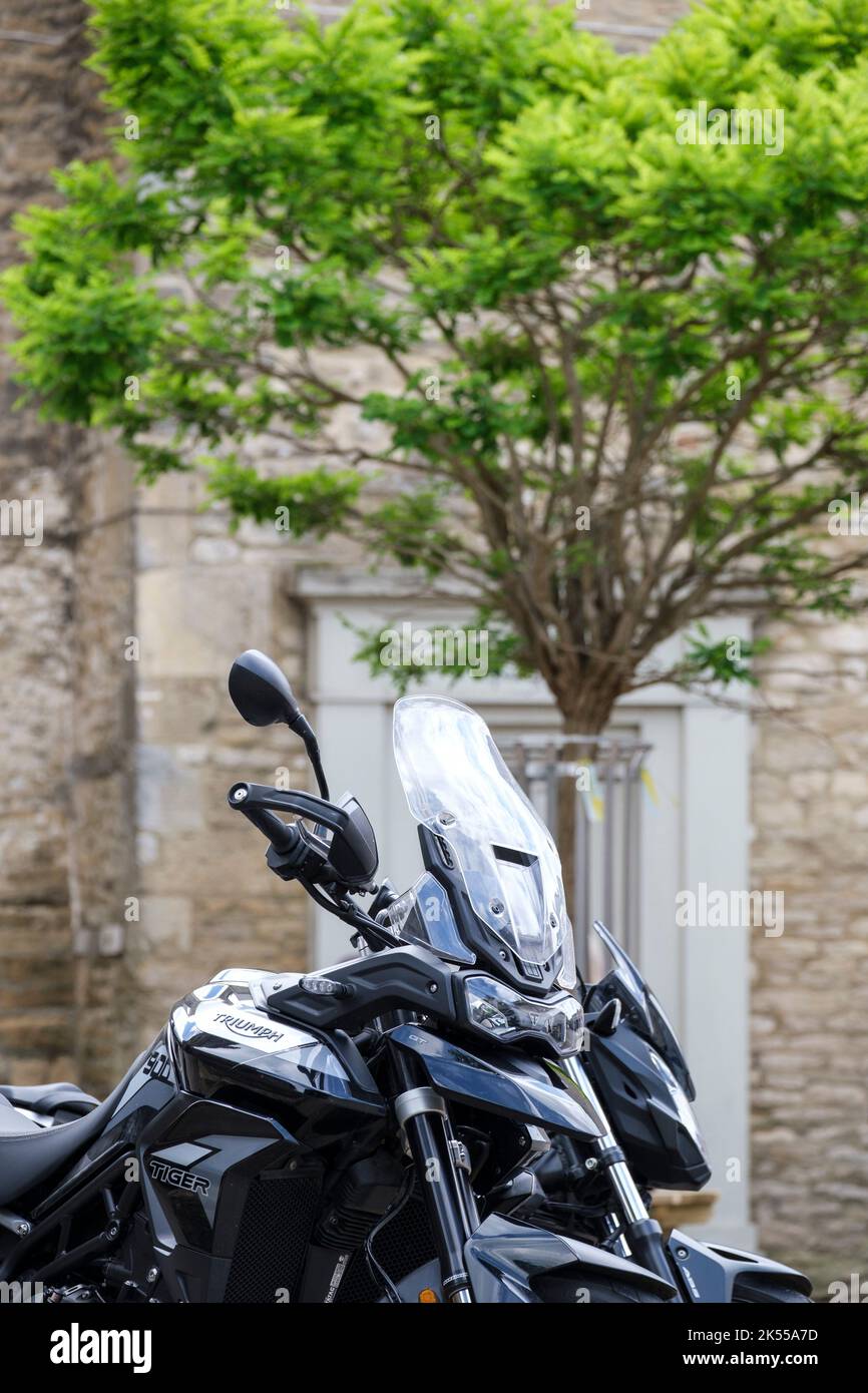 Motor bikes parked in a town square in front of a lush green tree Stock ...