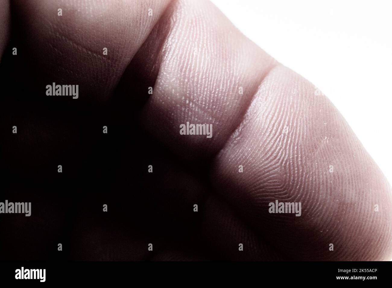 Close up detail of the texture of the skin on male fingers Stock Photo ...
