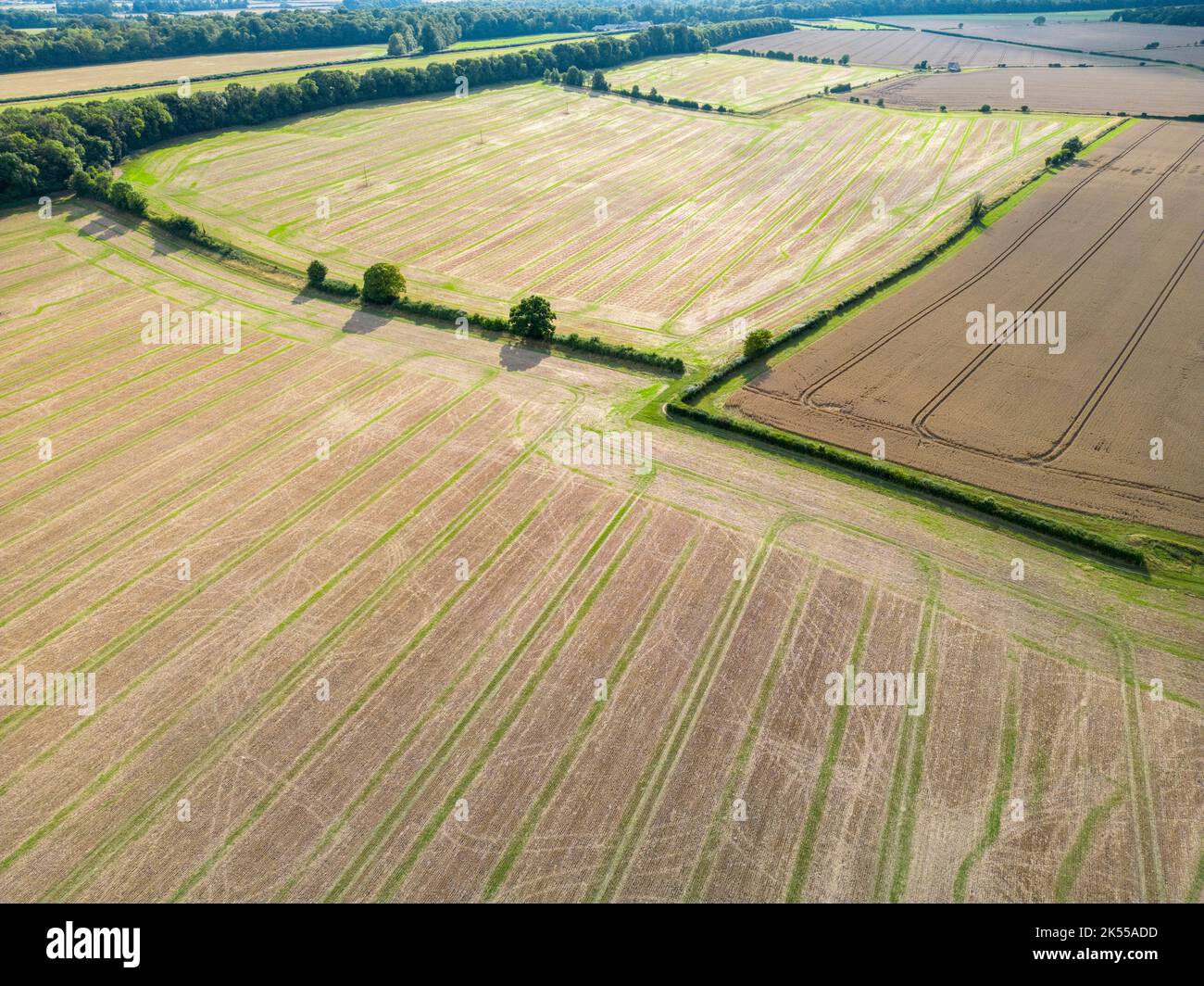 Looking down on fields of crops that have been harvetsed in the summer ...