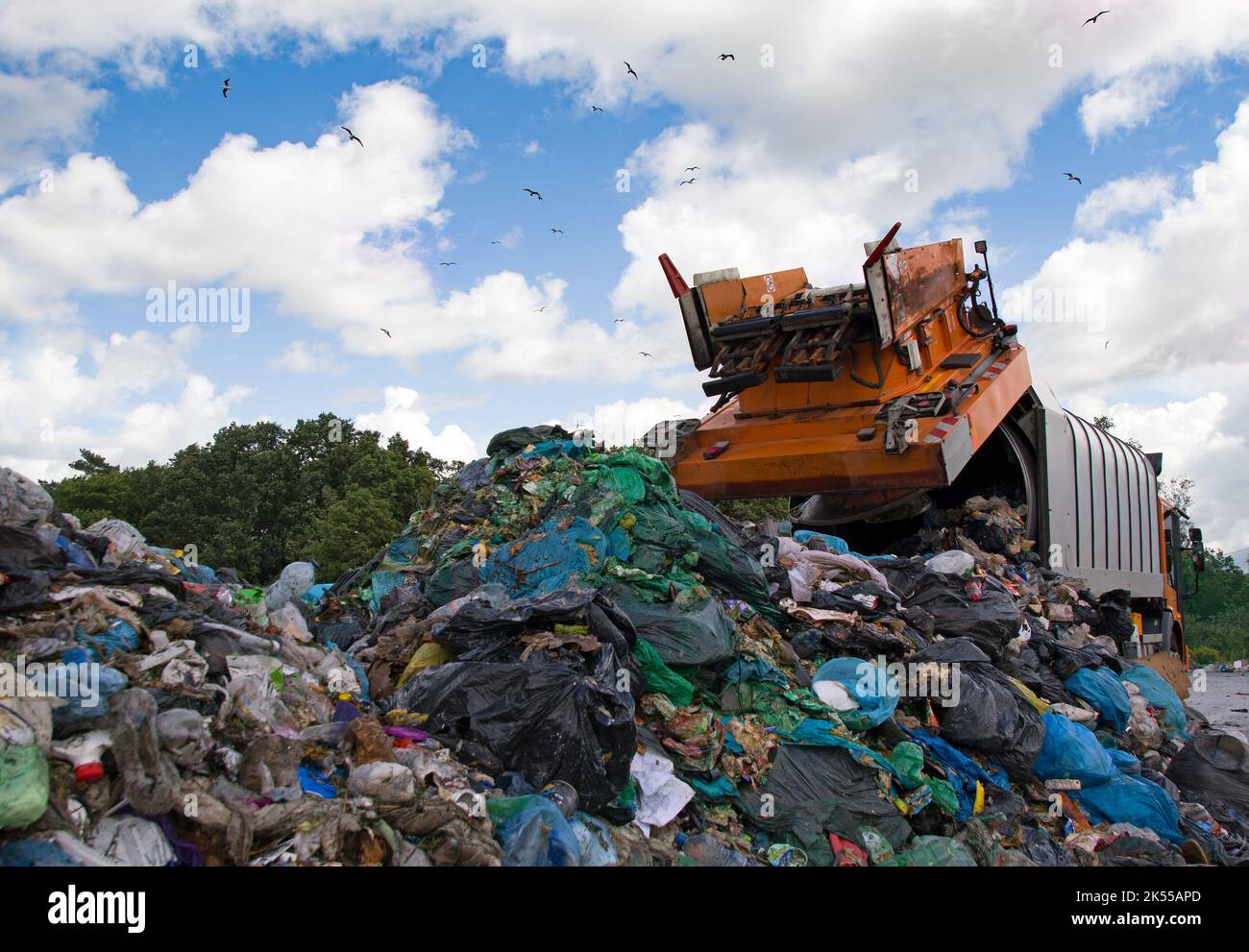 landfill pollutes the environment. garbage truck. birds fly over ...