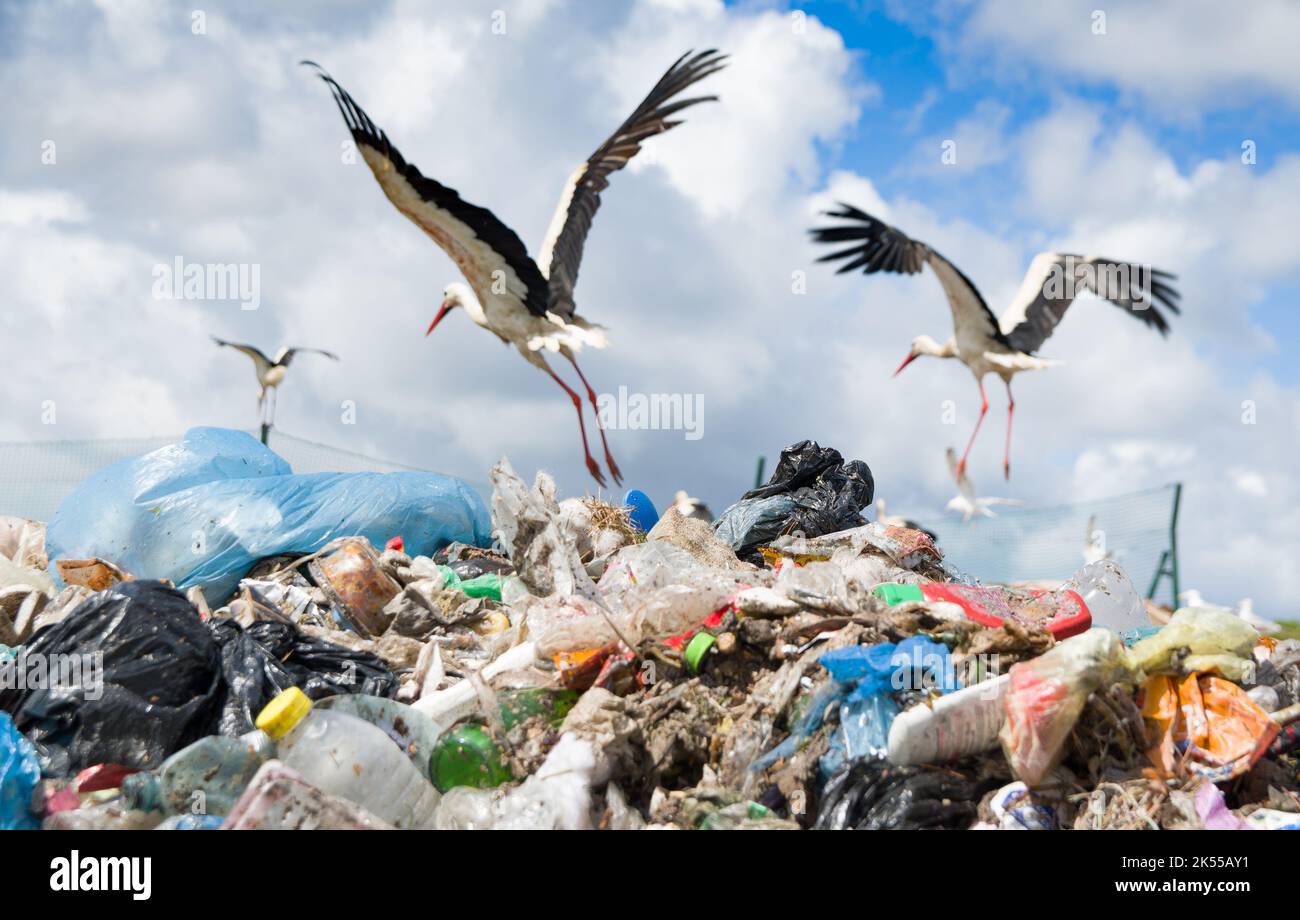 City dump hi-res stock photography and images - Alamy