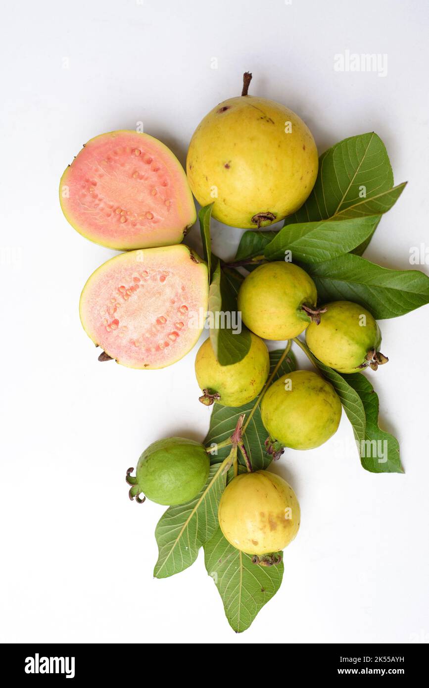 Ripe guava fruit with leaves on white background with copy space Stock ...