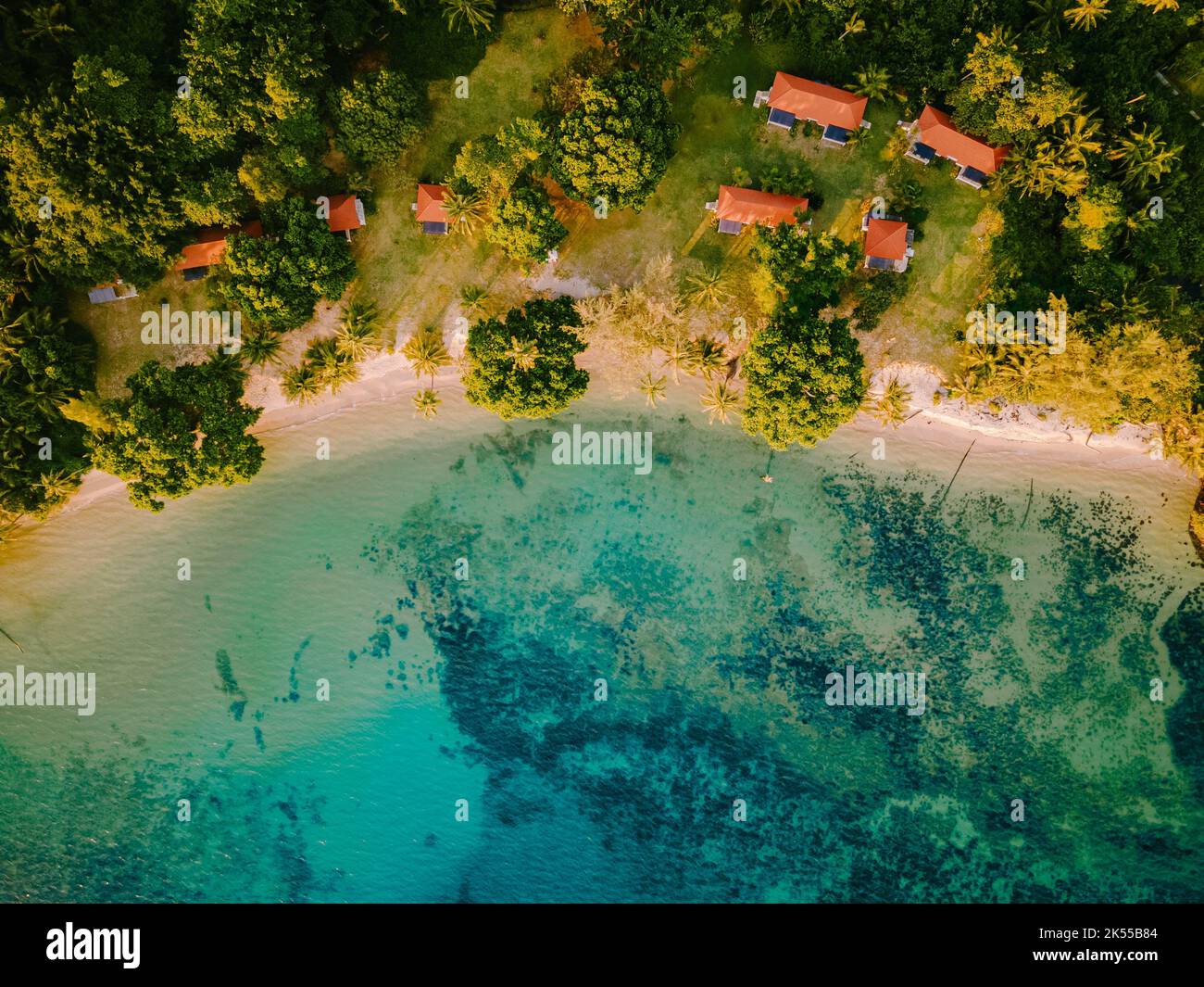 Turquoise-colored ocean with palm trees from above at the Island of Koh ...
