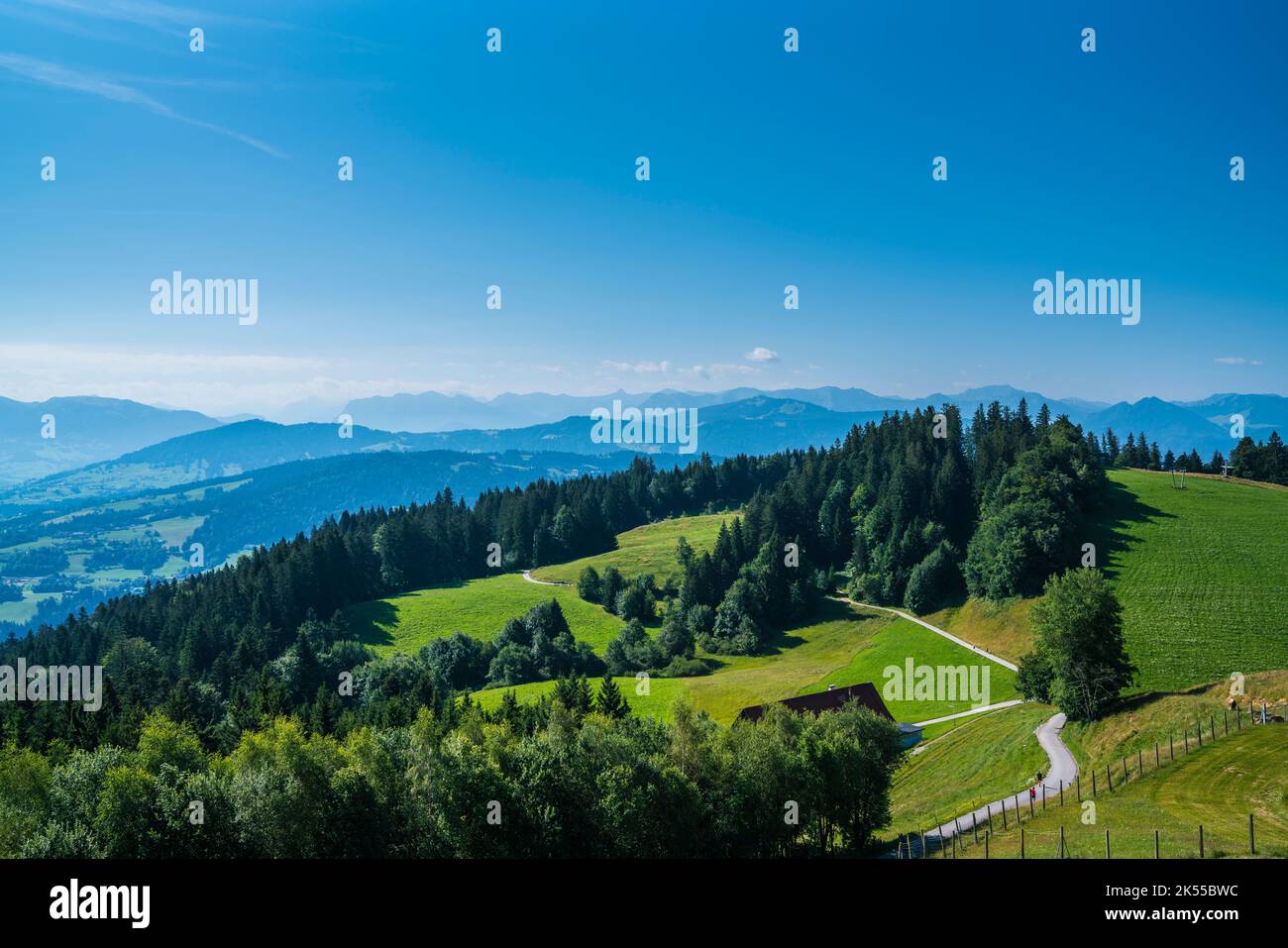 Austria, Endless panorama view above tree tops, forest nature landscape ...