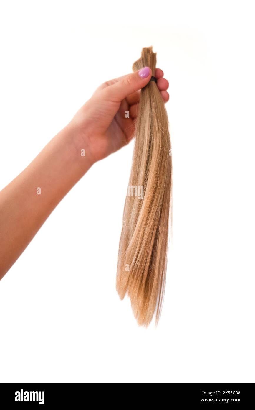 Girl's hand holding long cut off natural blond ponytail hair tied ...