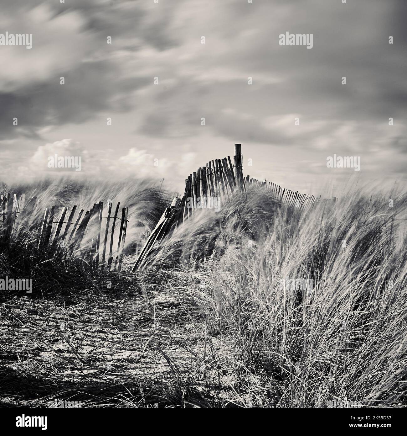 Transversing hi-res stock photography and images - Alamy