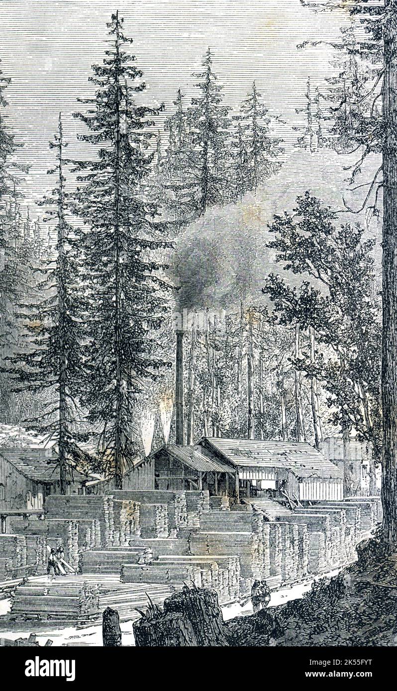 Lumber industry 19th century hi-res stock photography and images - Alamy