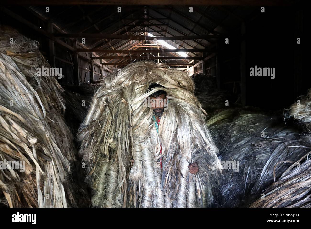 October 6, 2022, manikgonj, Manikgonj, Bangladesh: A man is carrying a ...
