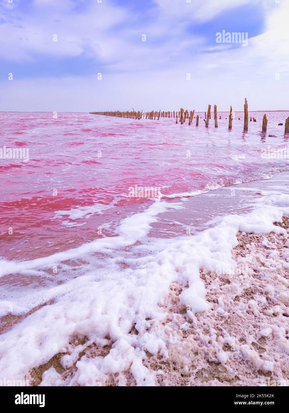 Dunaliella salina impart a red, pink water in mineral lake with dry ...