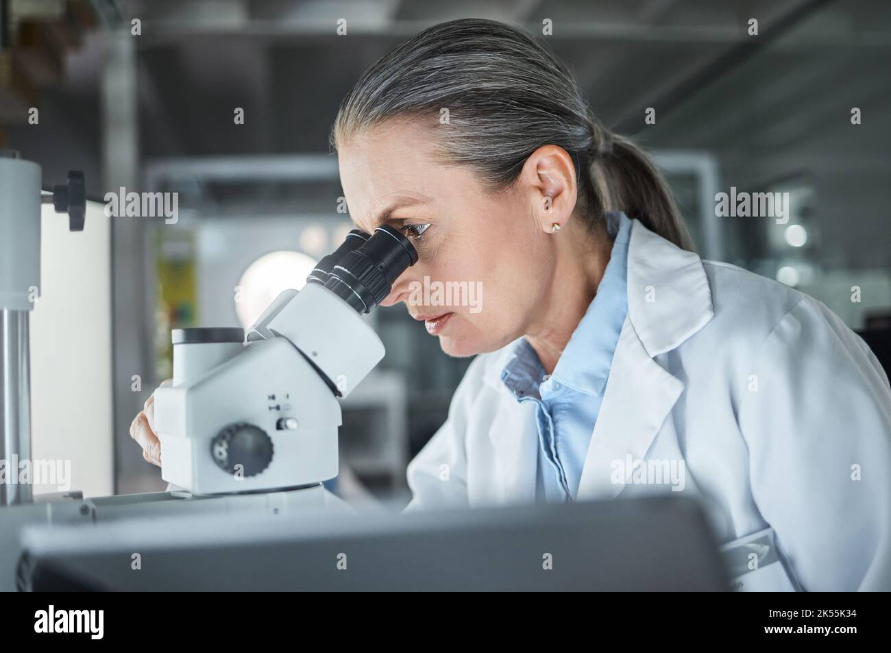 Woman, scientist and microscope at a research lab with medical analytics. Cell doctor or ...