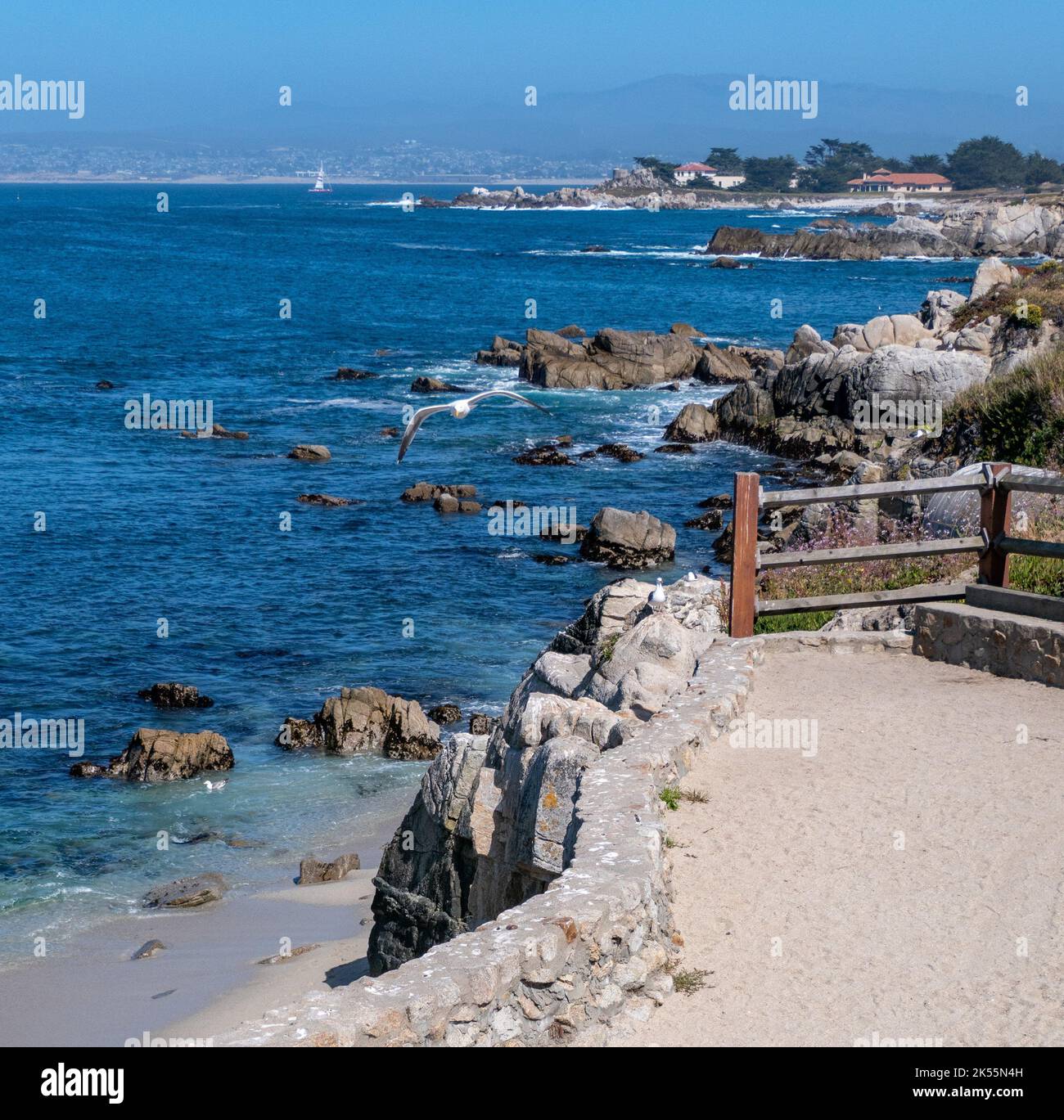 A beautiful shoreline with rocky coast and seagull in flight Stock ...
