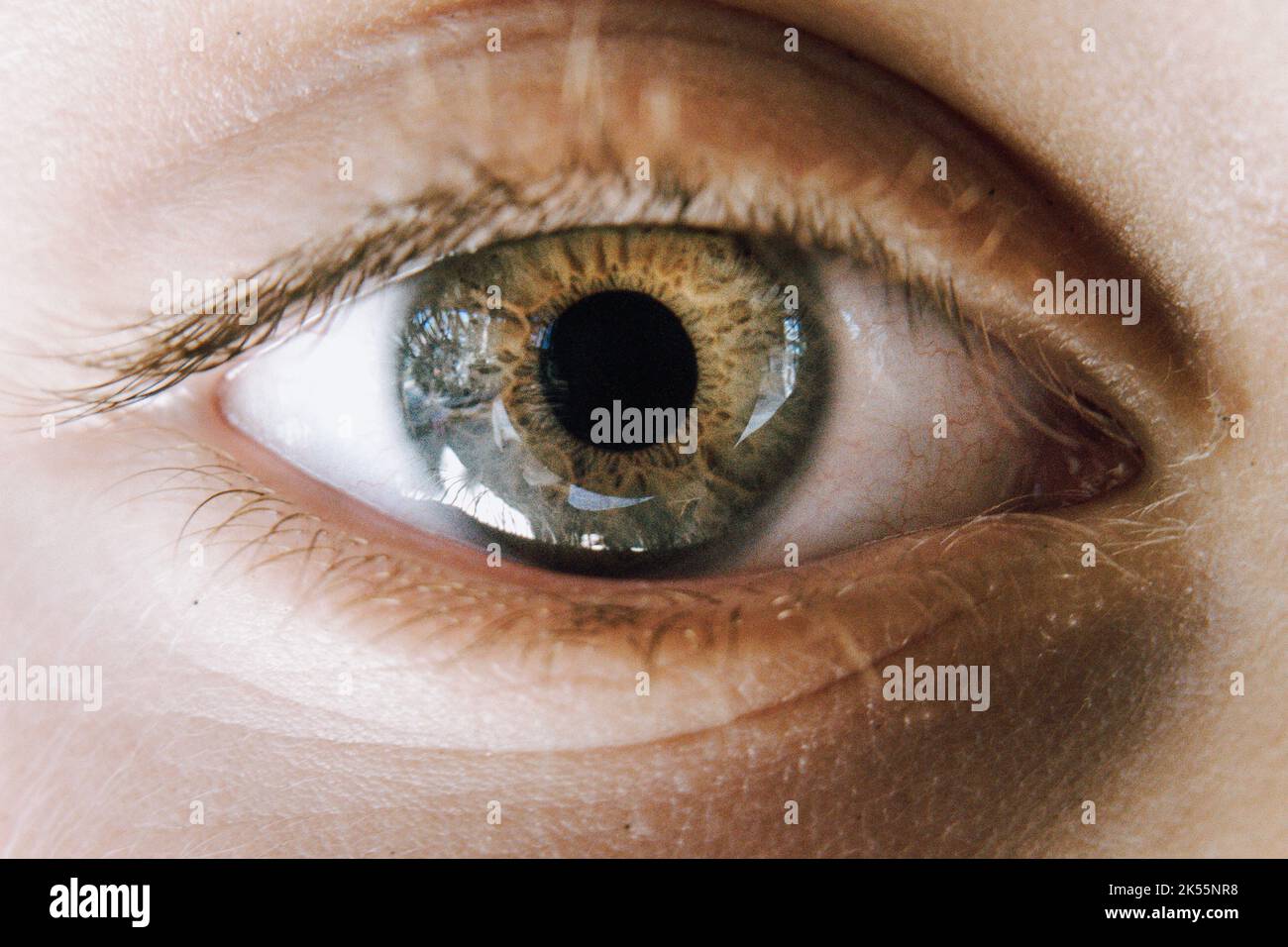 A closeup of a green human eye looking into the camera Stock Photo - Alamy