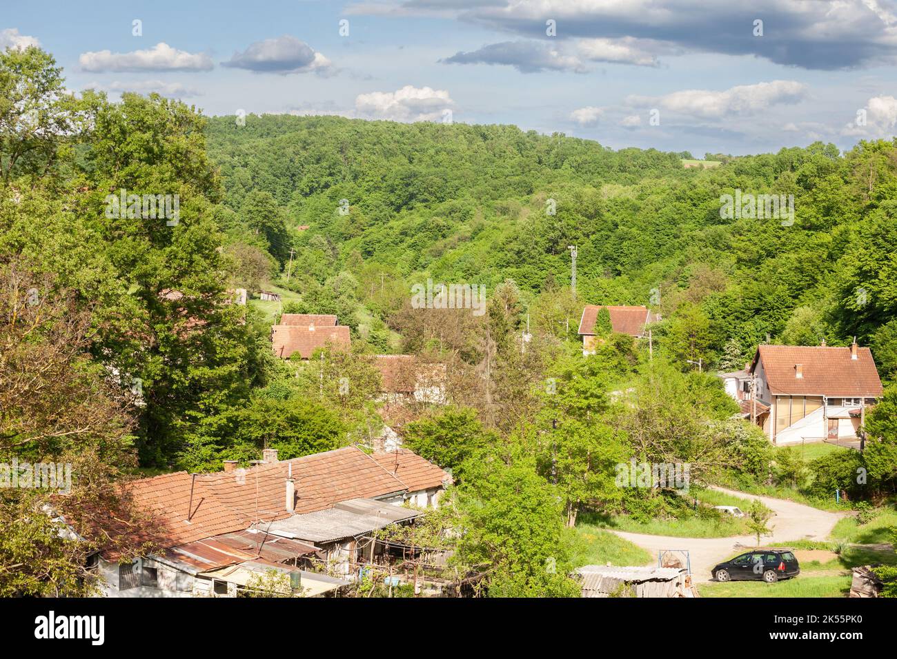 Picture of trees next to a countryside landscape in summer with farms ...