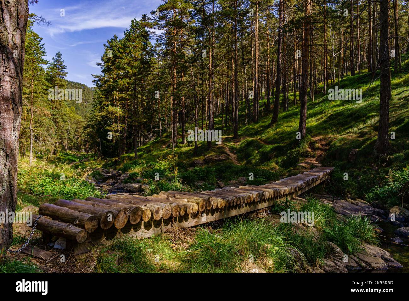 A low-angle shot of a beautiful lake in the forest in Serbia Stock ...