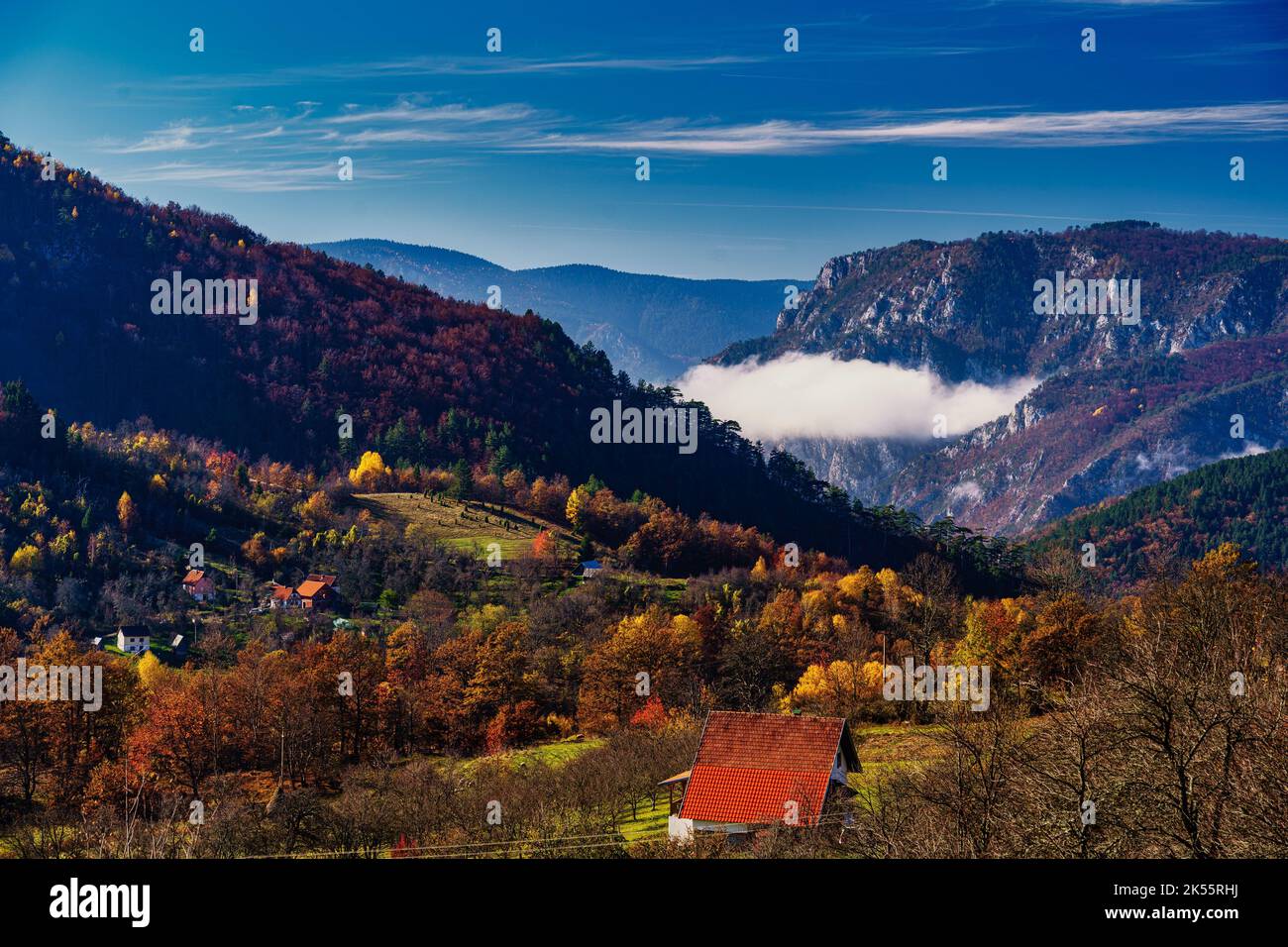 An aerial view of a beautiful forest near Tara Mountain, Serbia Stock ...